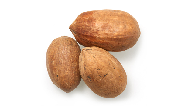 pecan nut without shell
